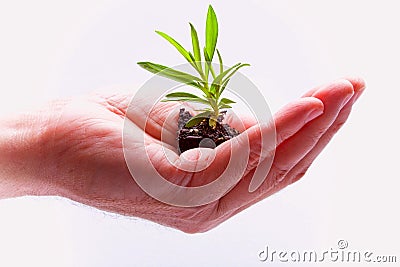 Nurturing Nature Royalty Free Stock Photo - Image: 7273385