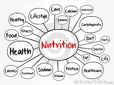 Nutrition Mind Map Flowchart Stock Photography | CartoonDealer.com ...