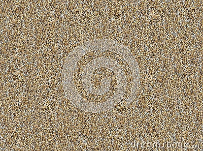 Nuts Almonds Set Of Kernels Texture Of Shells Of Stones On The Beach ...