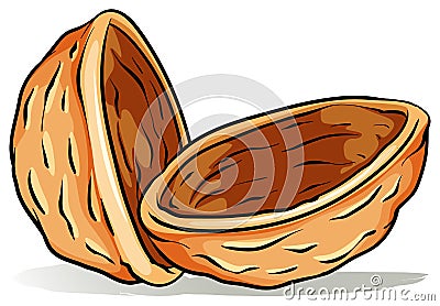 A Nutshell Stock Vector - Image: 50509915