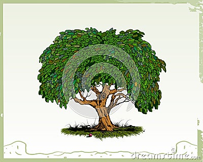Oak Tree Cartoon Vector | CartoonDealer.com #12720503