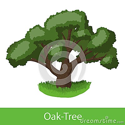 Oak-Tree Cartoon Icon | CartoonDealer.com #125220455