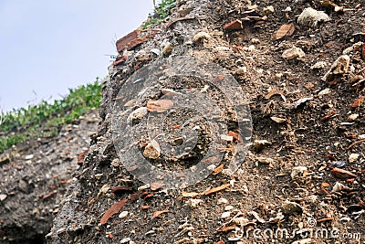 Occupation Earth - Layers Of Ground With Fragments Of Ancient Pottery ...