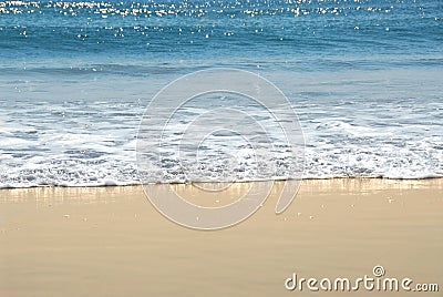 Ocean Shore Royalty Free Stock Image - Image: 1647956