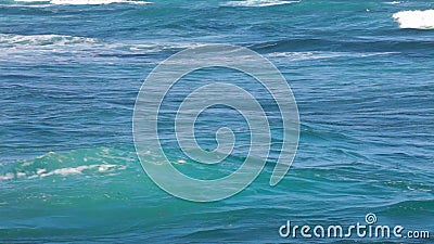 Ocean waves near shore stock footage. Video of coastal - 53370610