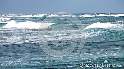 Ocean waves near shore. stock video. Video of tropical - 56282269