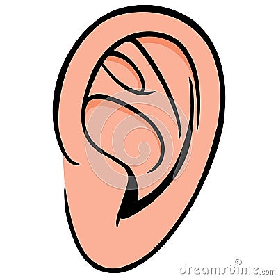 Ohr Vektor Abbildung - Bild: 53855985