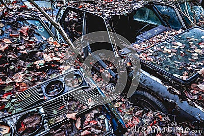 Old Abandoned Cars Dumped In The Forest. Royalty-Free Stock Image ...