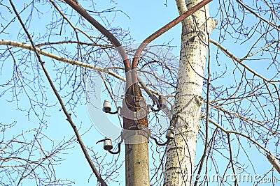 Old, Burnt Due To Lightning, High-voltage Power Line Pylon Royalty-Free ...