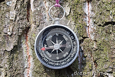 Old Compass On Tree Royalty-Free Stock Photo | CartoonDealer.com #178570005