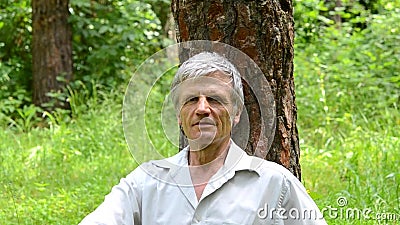 Old Man Sitting Near Tree and Looking at Camera Stock Video - Video of ...
