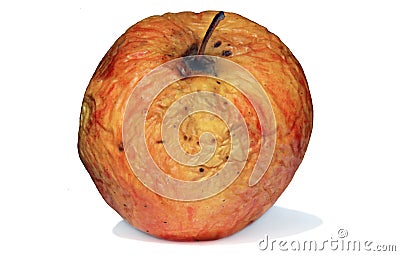 Shriveled Apple stock image. Image of drying, dessicate - 65892905