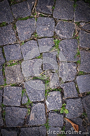 Old Stoneblock Pavement Cobbled With Square Granite Blocks With Grass ...