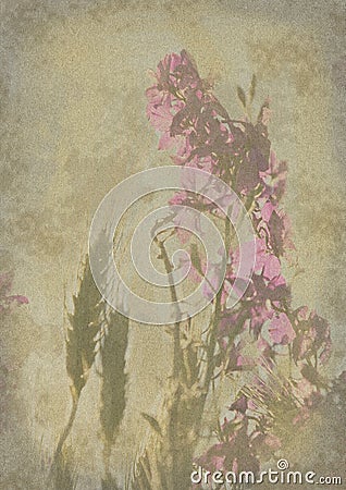 Old And Worn Flower Paper Texture Background Royalty-Free Stock Image ...