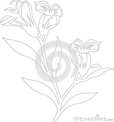 Oleander Outline Silhouette Generative Ai Vector Illustration ...