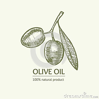 Olive Hand Draw Sketch. Vector | CartoonDealer.com #76186250