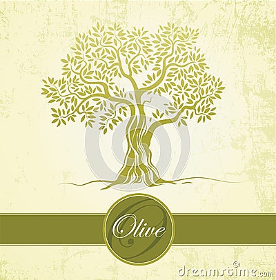Olive Tree. Olive Oil. Vector Olive Tree On Vintage Paper.For Labels ...