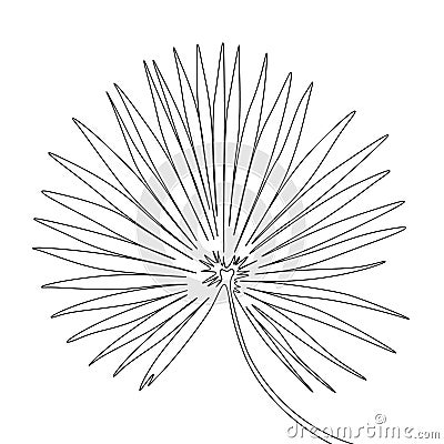 Fan Palm Drawing Stock Illustrations – 901 Fan Palm Drawing Stock ...