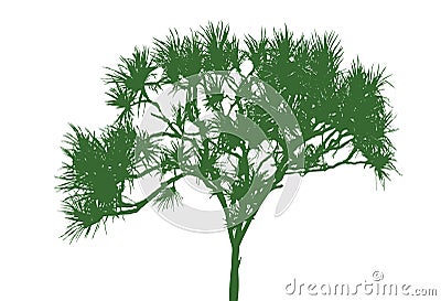Green Silhouette Of One Pandanus Trees Cartoon Vector | CartoonDealer ...
