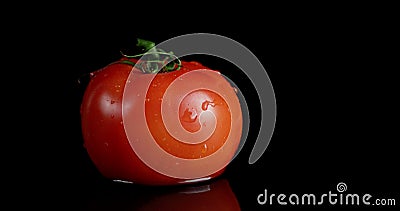 One Tomato Spinning on the Table. Stock Video - Video of nature ...