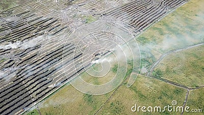 Open Fire Cause Air Pollution Stock Footage - Video of farmer, green ...