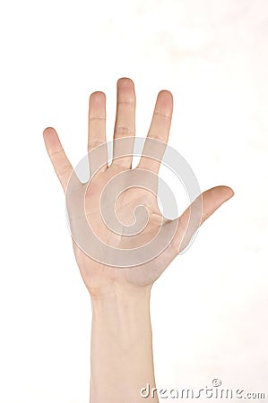 Open Hand Royalty Free Stock Image - Image: 7288526