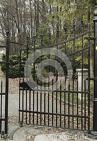 Open Iron Gate Royalty-Free Stock Image | CartoonDealer.com #36690976
