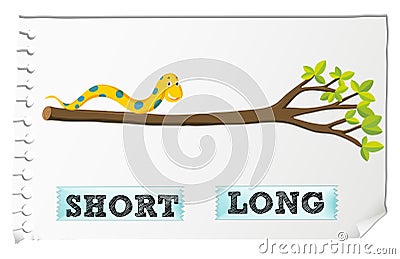 Opposite Adjectives Short And Long Stock Vector - Image: 63733627