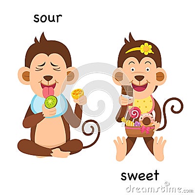 Opposite Sour And Sweet Vector Illustration | CartoonDealer.com #95946106