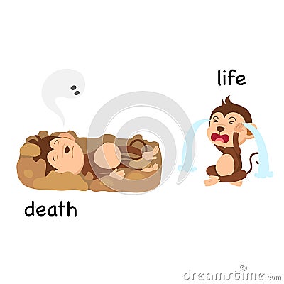 Opposite Words Death And Life Vector | CartoonDealer.com #92084714