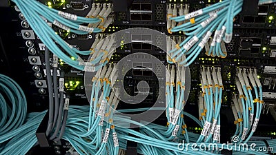 Optical Fiber. Severs Computer in a Rack at the Large Data Center Stock ...