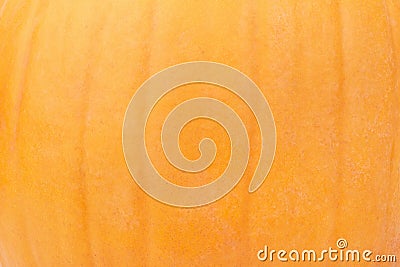 Orange Pumpkin Skin Texture Background Stock Photography ...
