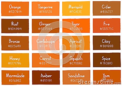 Orange Tone Color Shade Background With Code And Name Cartoon Vector ...