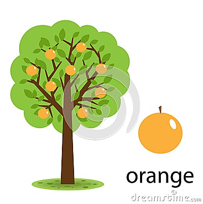 Orange Tree Stock Images - Image: 14894404