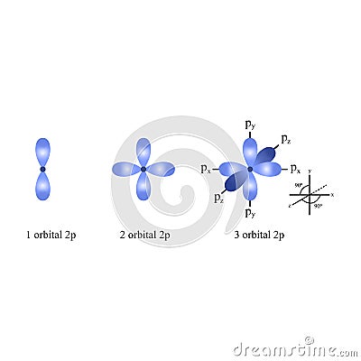 Orbital 2p In Electron Structure Of Atom Illustration Cartoon Vector ...