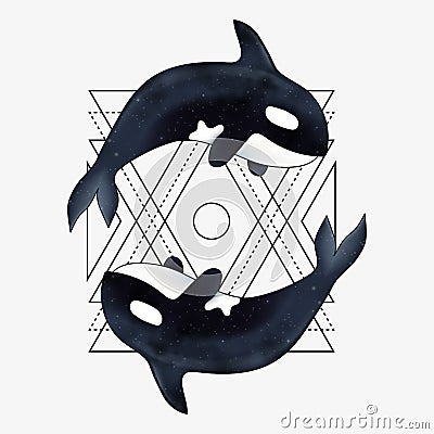 Orca Vector Illustration. Marine Mammal. Killer Whale With Abstract ...