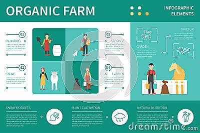 Organic Farm Infographic Flat Vector Illustration. Presentation Concept ...