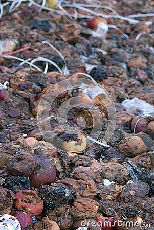 Organic Pollution Stock Photo - Image: 51526986