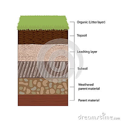 Orizzonti Del Suolo E Strati Illustrazione Vettoriale - Immagine: 89308850
