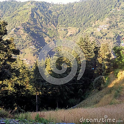Osm View Of Trees And Mountains Royalty-Free Stock Image ...