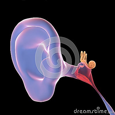 Otitis Media, Illustration | CartoonDealer.com #198428130