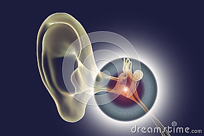 Otitis Media, Illustration | CartoonDealer.com #198428388