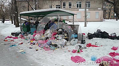 Overfilled Garbage Bins with Rubbish Bags Stock Video - Video of smell ...