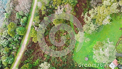 Overhead Aerial View of River and Trees Stock Video - Video of forest ...