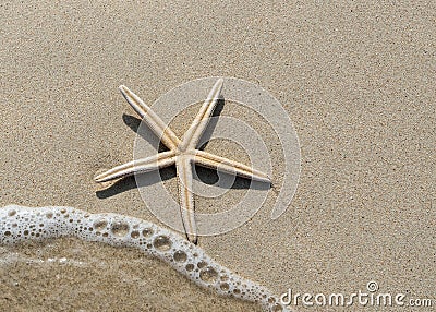 Overhead View Of A Starfish And Wave On A Smooth Background Of Sand ...