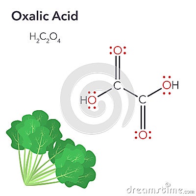 Oxalic Acid Science Vector Illustration Graphic | CartoonDealer.com ...