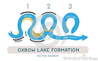 Oxbow Lake Formation, Vector Diagram | CartoonDealer.com #71146662