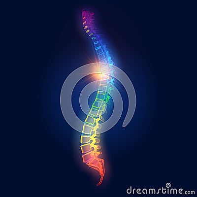 Painful Thoracic Spine, Medically 3D Illustration | CartoonDealer.com ...
