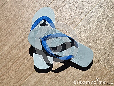 A Pair Of Grip Slippers Royalty-Free Stock Image | CartoonDealer.com ...