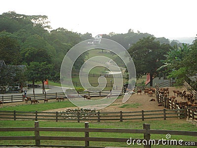 Paisaje Del Rancho Imagenes de archivo - Imagen: 4706414
